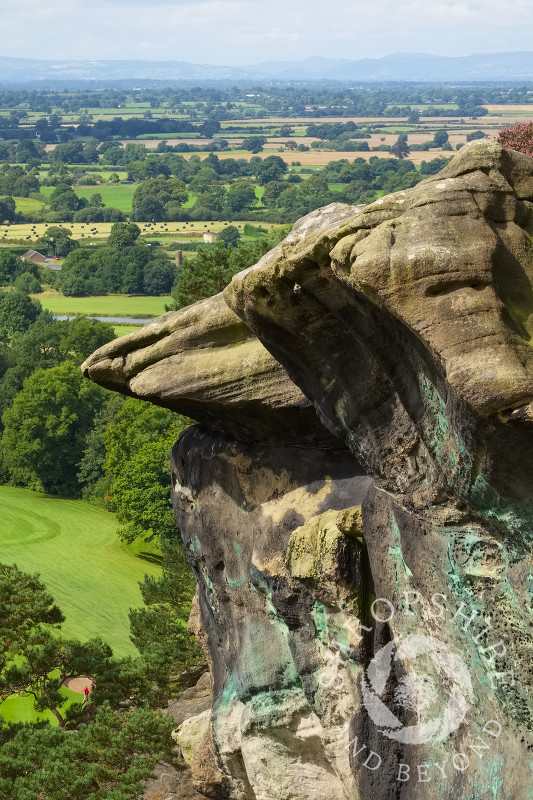 Hawkstone Park